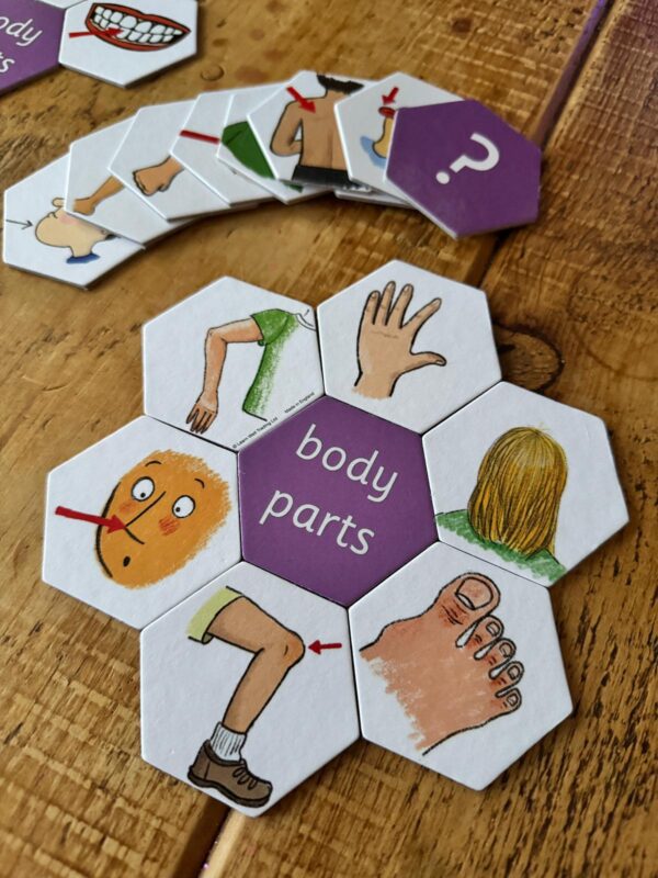Sorting Game - Clothing and Parts of the Body - Miss E's Early Years